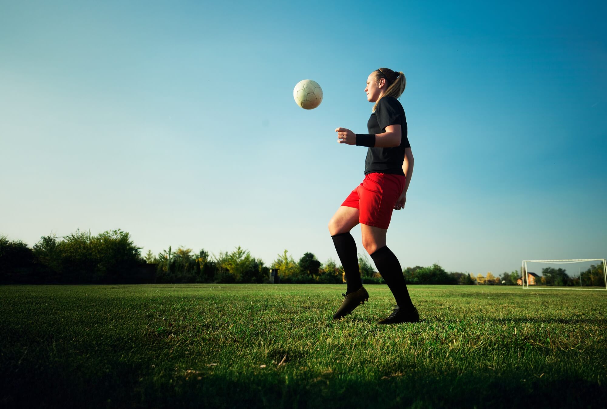 Camp Information - Camp Shutout Advanced Sessions